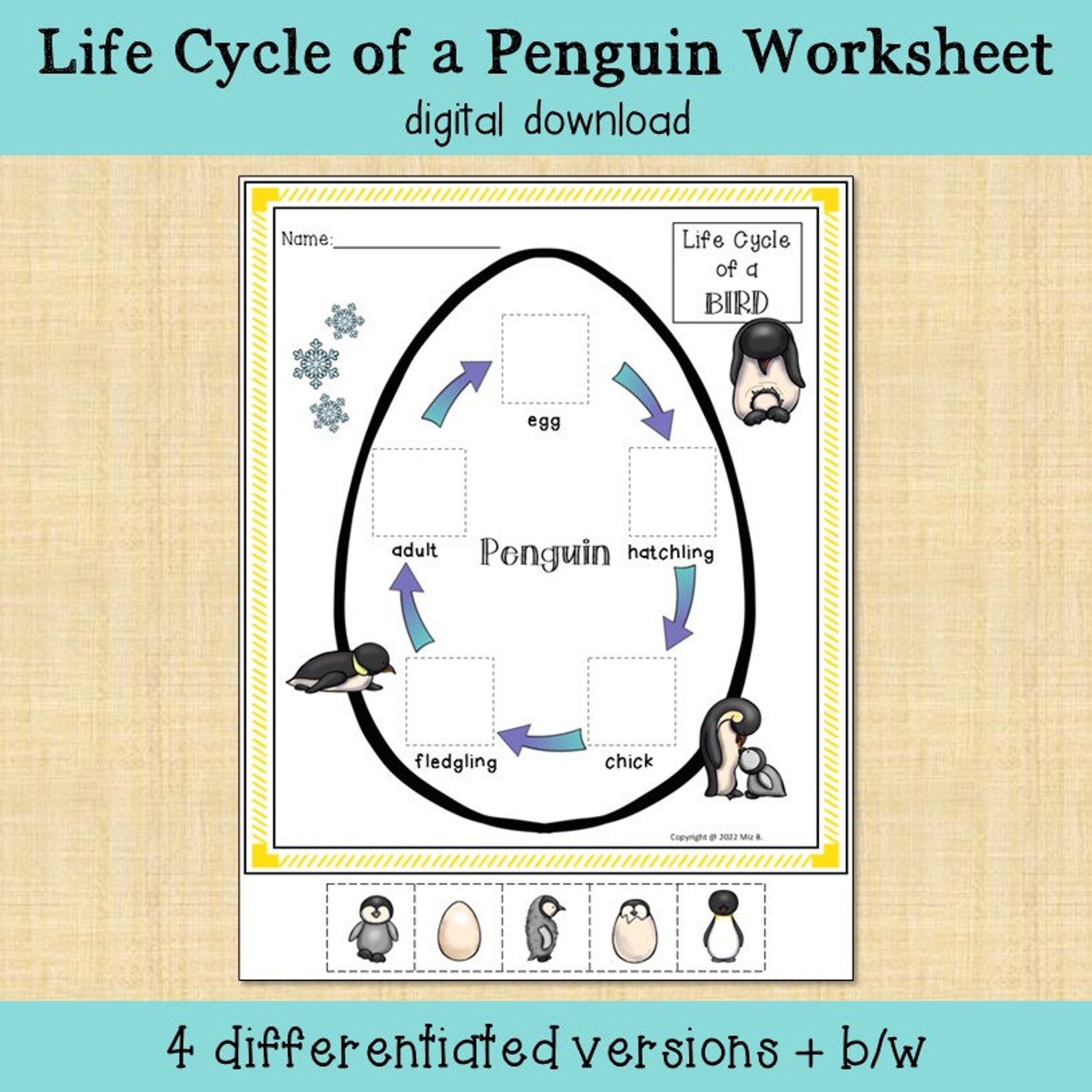 Life Cycle of a Bird - Penguin - Etsy
