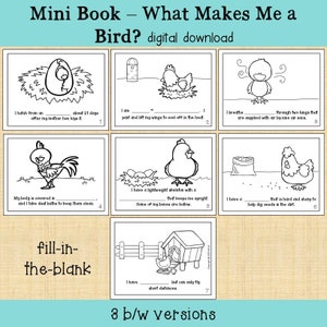 What Makes Me a Bird? Chicken Mini Coloring Book Printable - Etsy