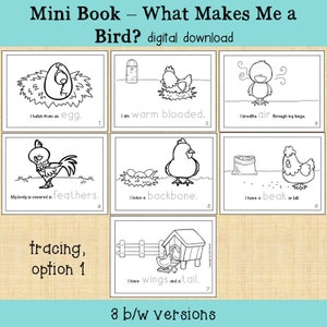 What Makes Me a Bird? Chicken Mini Coloring Book Printable - Etsy