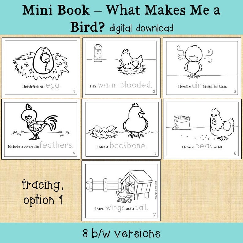 What Makes Me a Bird? Chicken Mini Coloring Book Printable - Etsy
