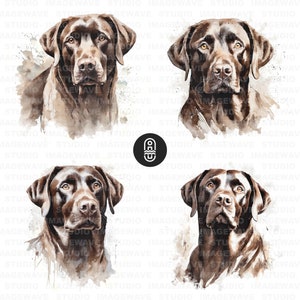 Chocolate Labrador Retriever, 20 High Quality Jpgs, Watercolor Dog ...