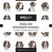Signature Font Bundle Vol 4, Script Font Collection, 24 Handwritten ...