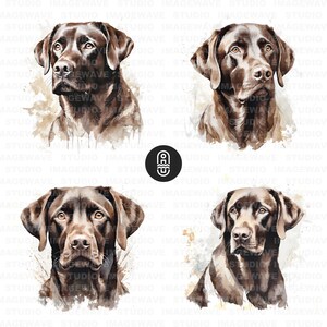Chocolate Labrador Retriever, 20 High Quality Jpgs, Watercolor Dog ...