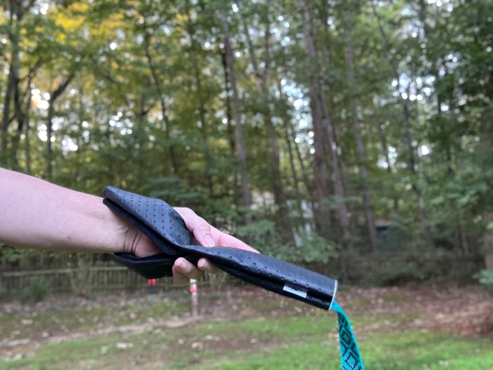 Amazing Dog Leash Accessory That Protects Your Wrist From Rope Burn and ...