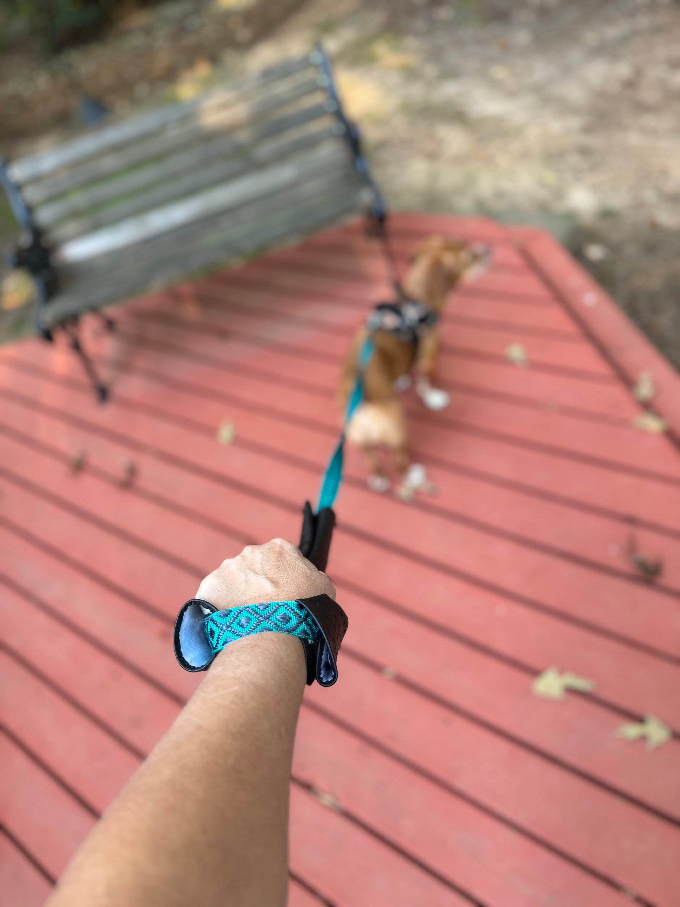 Amazing Dog Leash Accessory That Protects Your Wrist From Rope Burn and ...