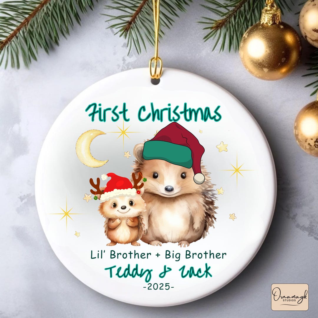 Personalized Hedgehog Sibling Ornament: Big Brother, Little Brother ...