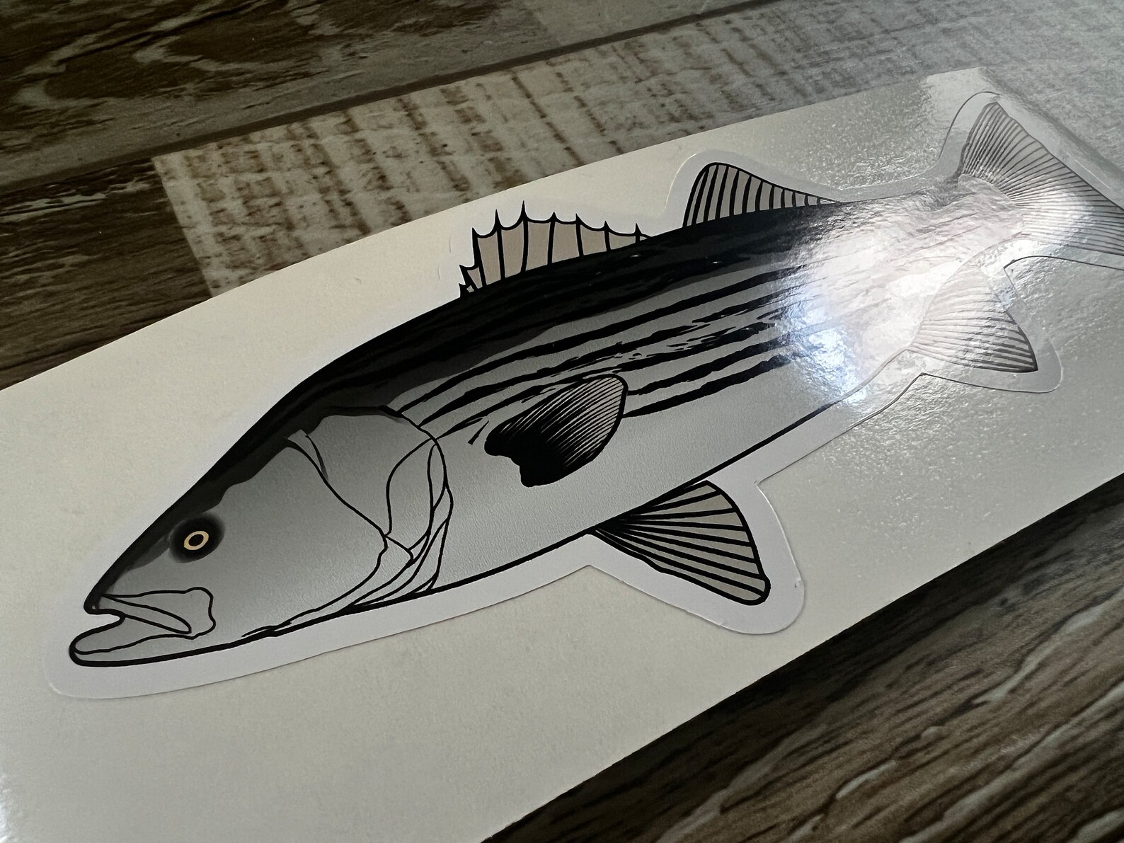 High Quality 6 Striped Bass Decal, Striper Sticker, Rockfish Sticker ...