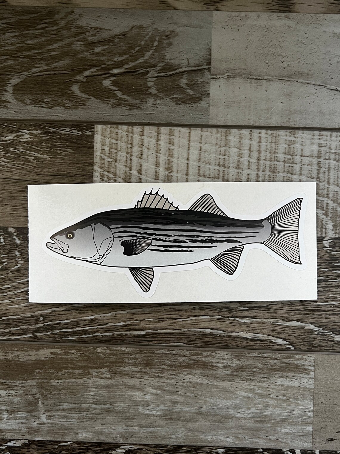 High Quality 6 Striped Bass Decal, Striper Sticker, Rockfish Sticker ...