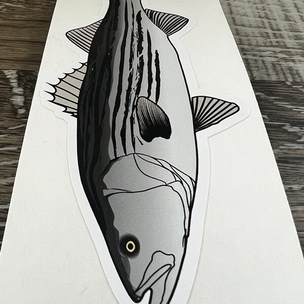 Striped Bass Sticker - Etsy