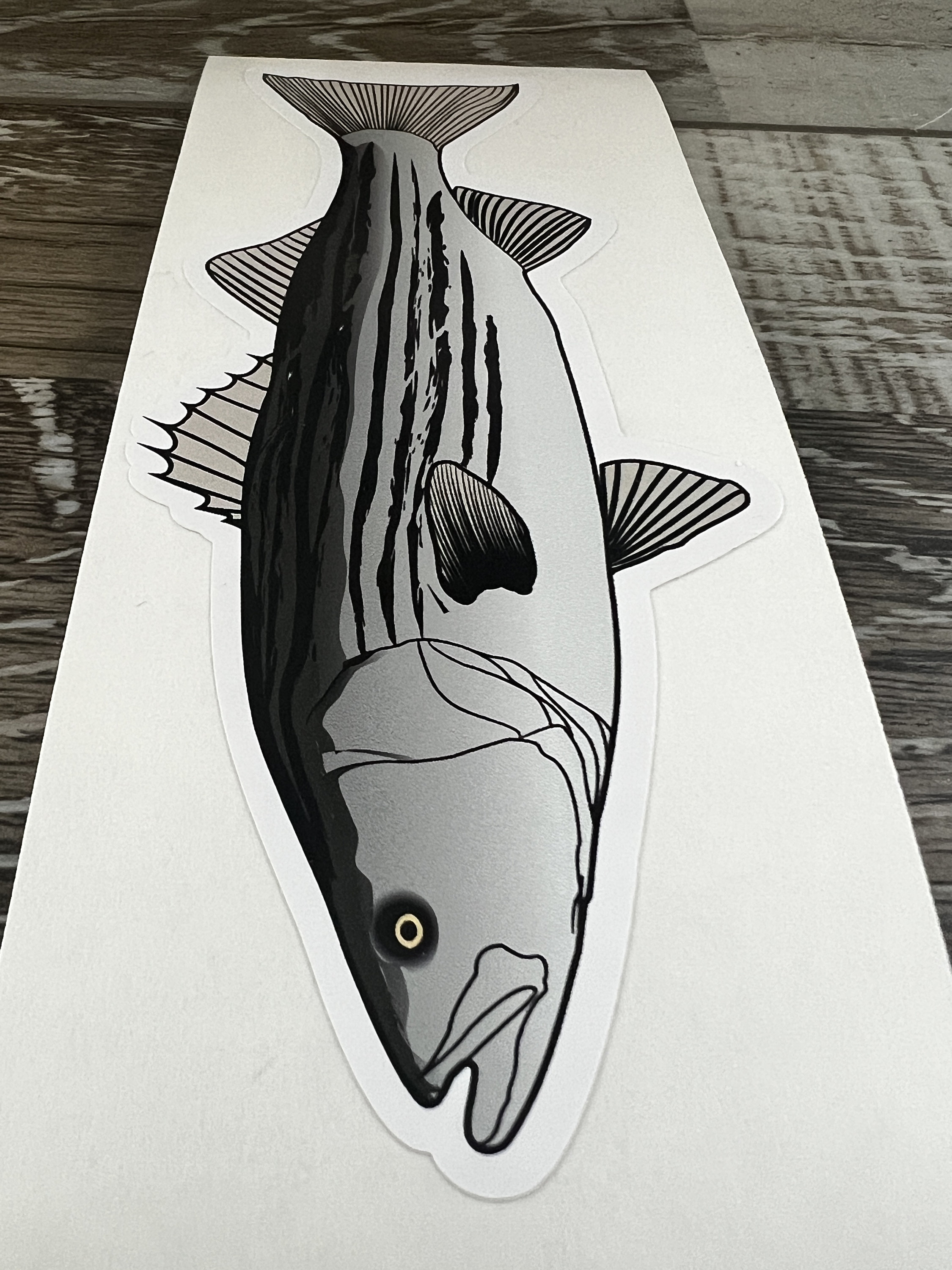 High Quality 6 Striped Bass Decal, Striper Sticker, Rockfish Sticker ...