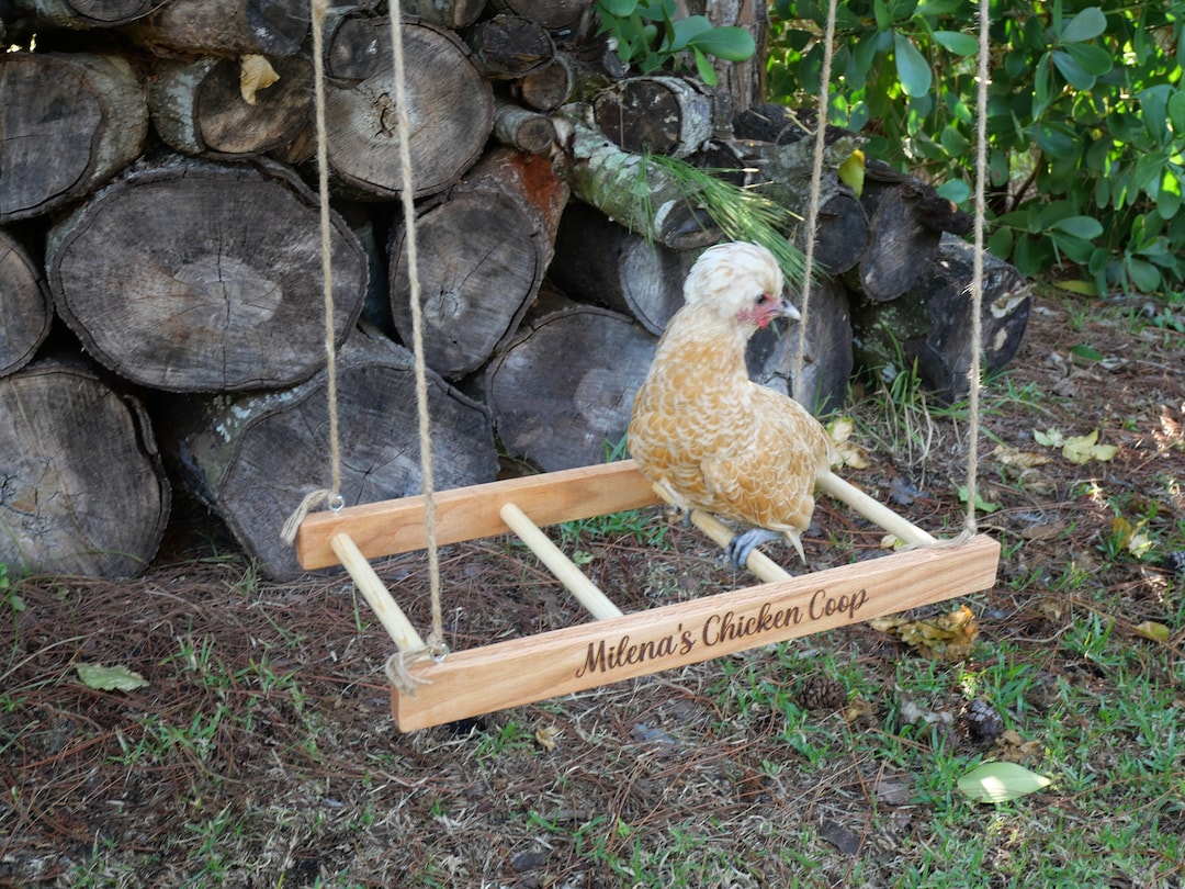 Customized Rustic Chicken Swing for Hens in Coop Chicken Coop Decor ...