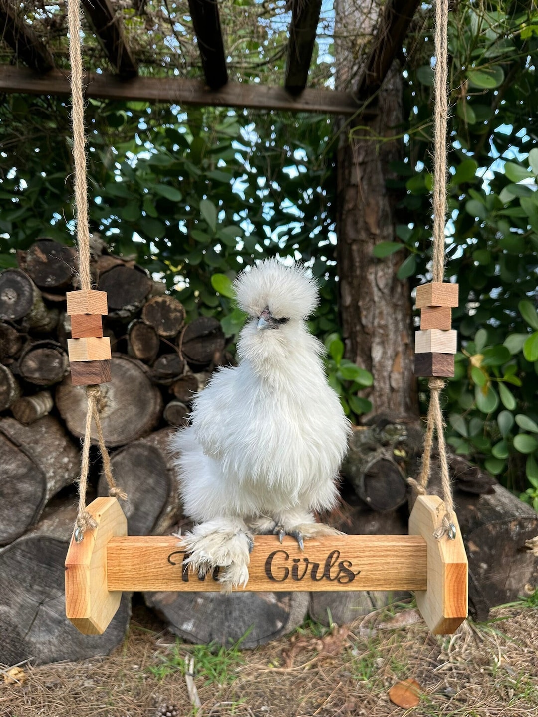 Custom Engraved Chicken Swing: Hardwood Coop Perch, Chicken Playground ...