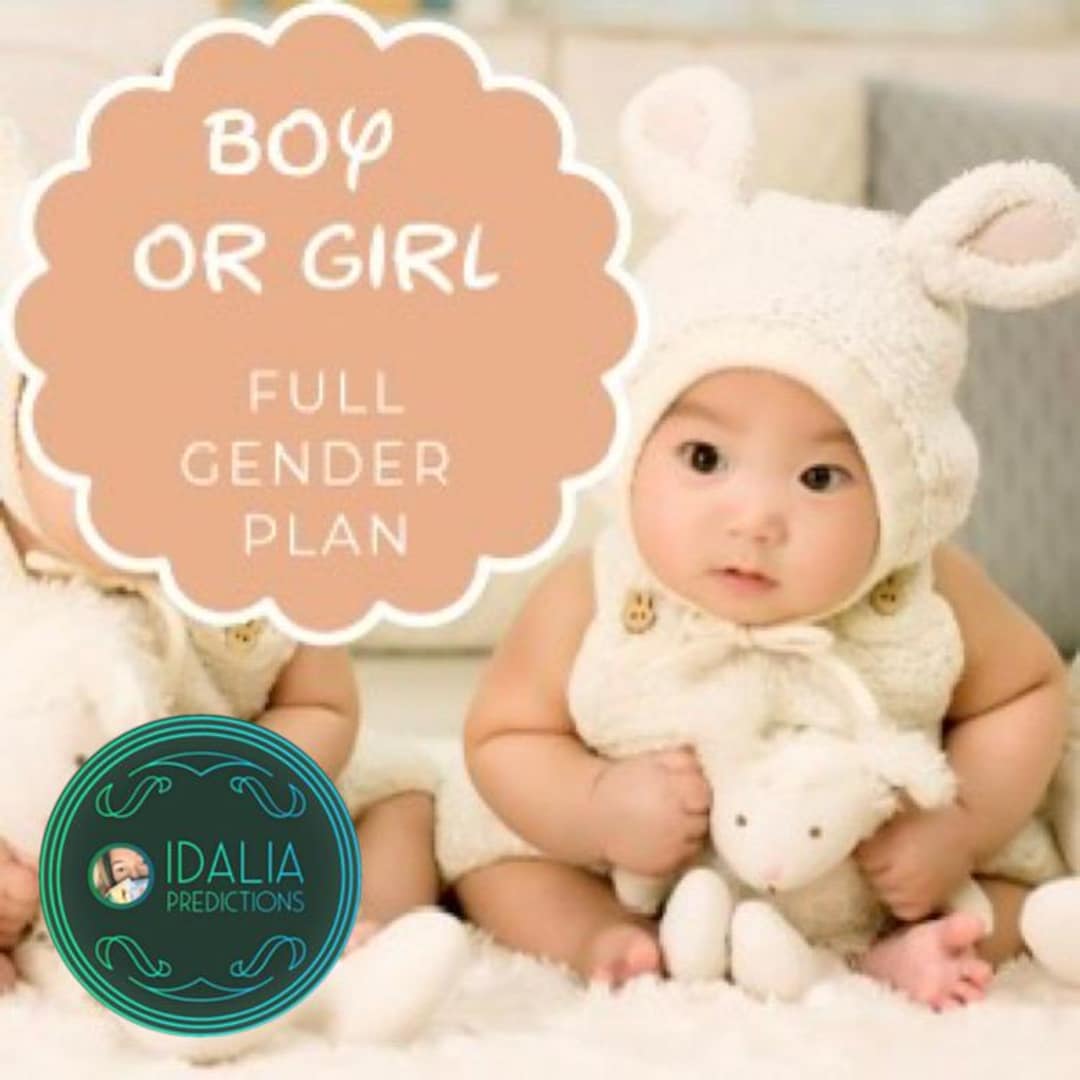 Full Gender Plan (reading Plus 3 Manifestation Sessions) - Etsy