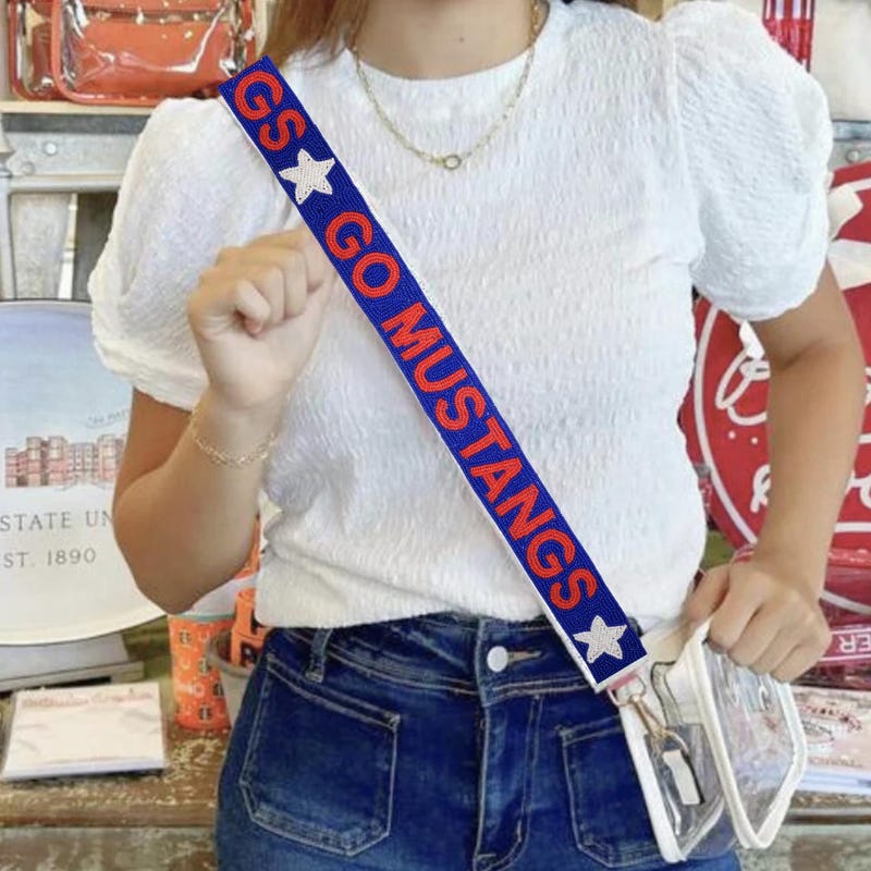 College Purse Chains - Etsy