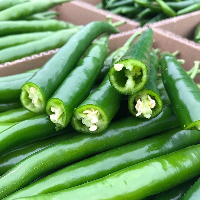 200+ Screw Pepper Seeds: Twisted Heirloom Vegetable - Etsy