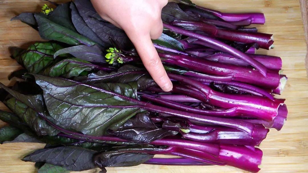 5g/1200pcs Purple Chinese Kale Seeds, Choy Sum Hon-tsai Brassica Seeds ...