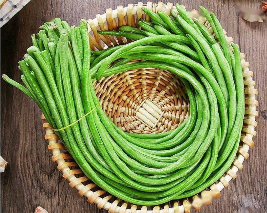 10g/60pcs+ Yardlong Bean Seeds, Asian Long Bean String Bean Seeds 豇豆 ...