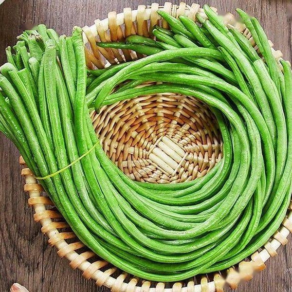 Long Bean Seeds - Etsy