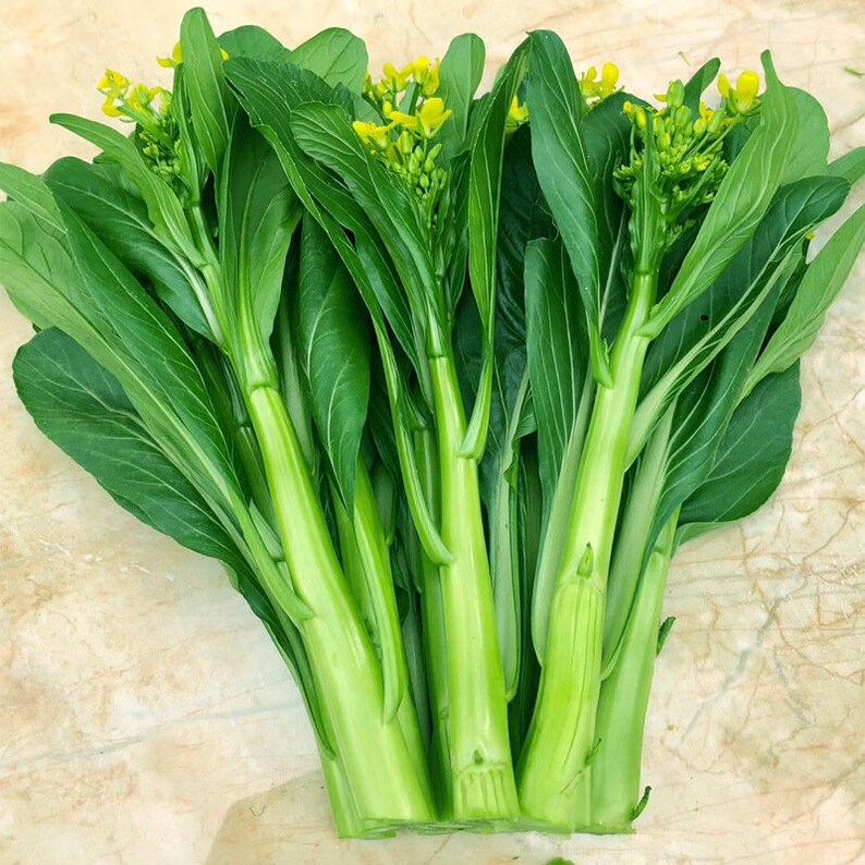 Yu Choy Sum Seeds: Chinese Flowering Cabbage, 5gram - Etsy