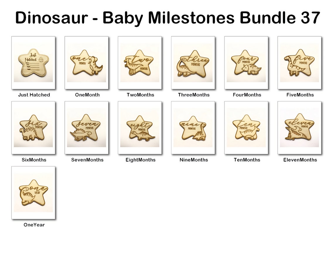 Dinosaur -baby Milestone Markers | Contains 13 Cards - Etsy