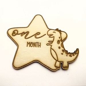 Dinosaur -baby Milestone Markers | Contains 13 Cards - Etsy
