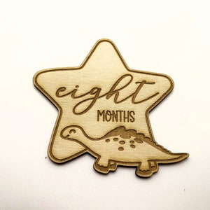 Dinosaur -baby Milestone Markers | Contains 13 Cards - Etsy