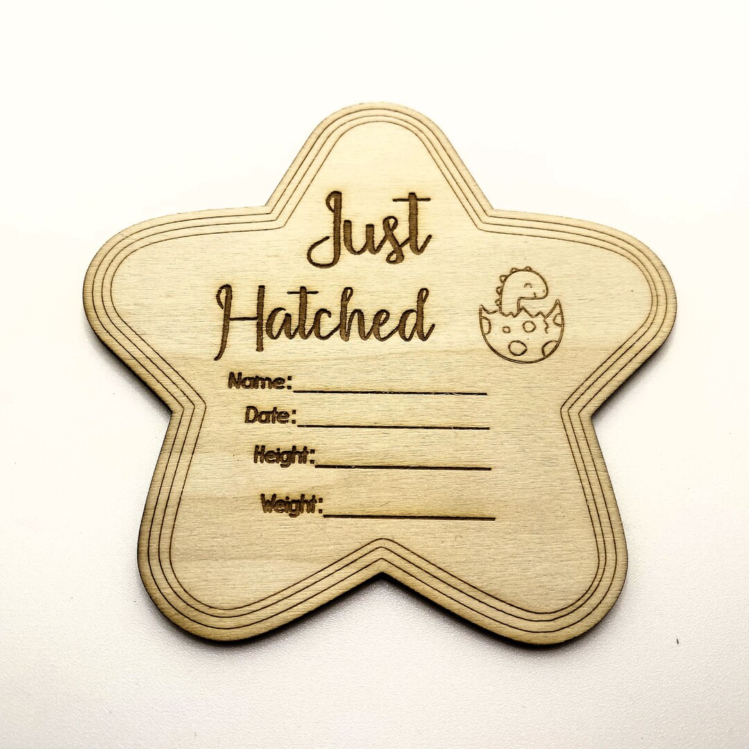 Dinosaur -baby Milestone Markers | Contains 13 Cards - Etsy