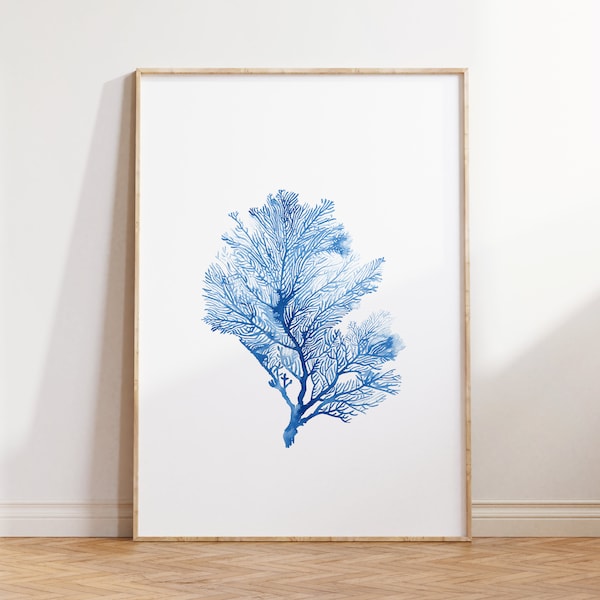 Coral Sea Fan - Etsy