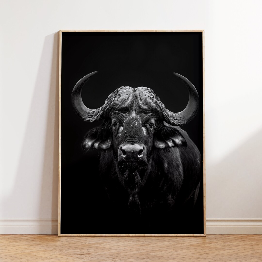 Buffalo Poster, Animal Print, Digital Download, Black and White Wall ...