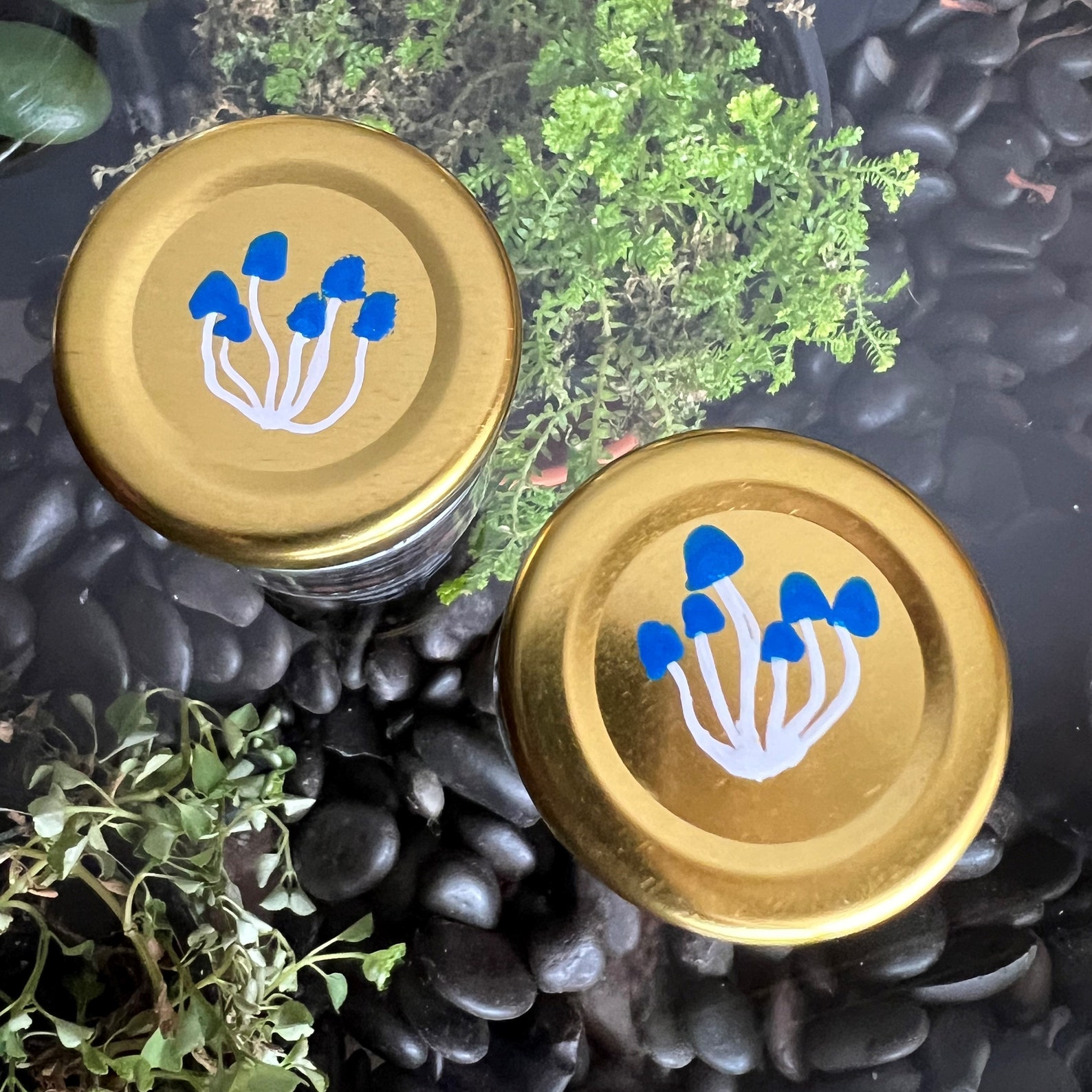 Mini Jar With Lid | Mini Paint Pot | Mini Travel Water Jar | Plein Air ...