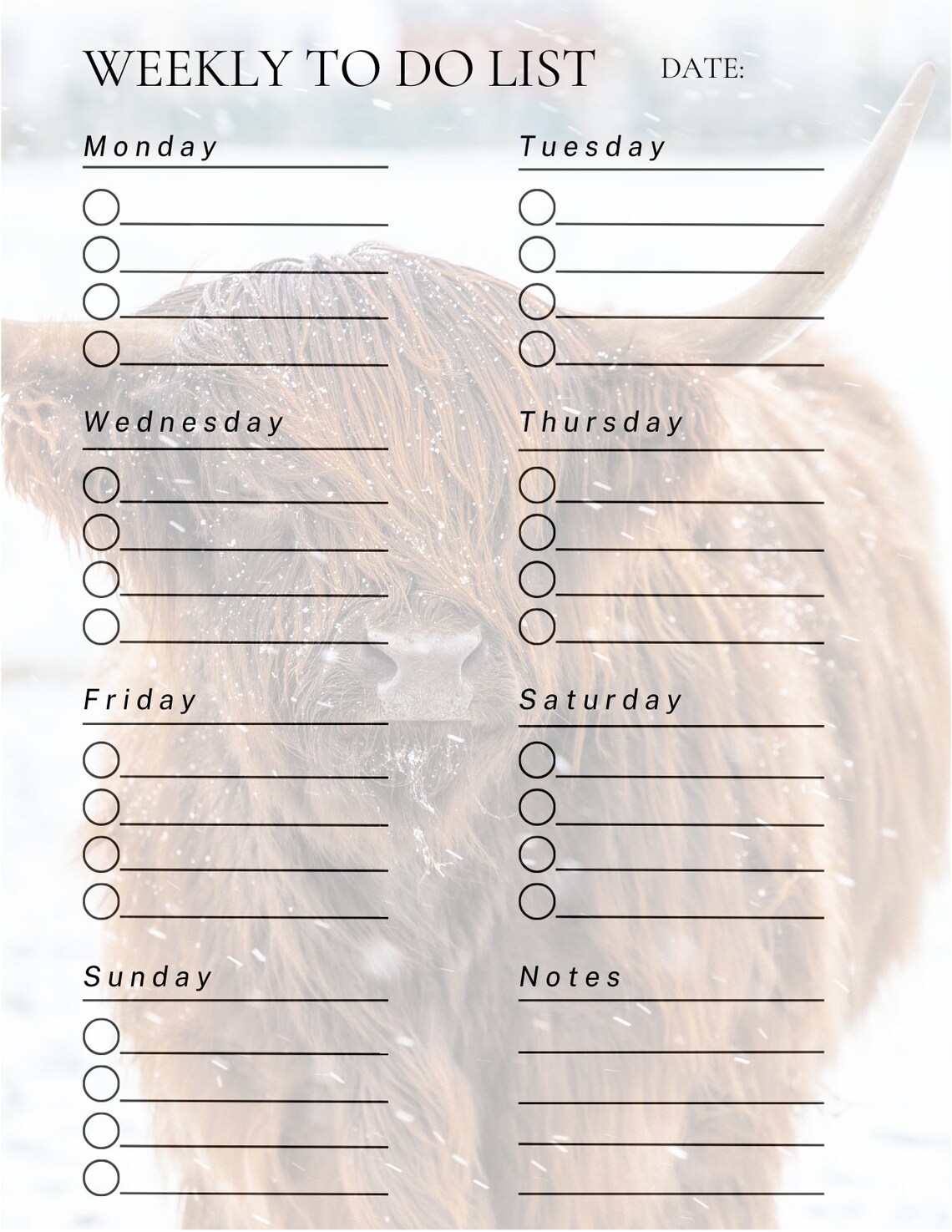 Printable Photo of a Highland Cow, Farmhouse Decor, Horizontal Digital ...