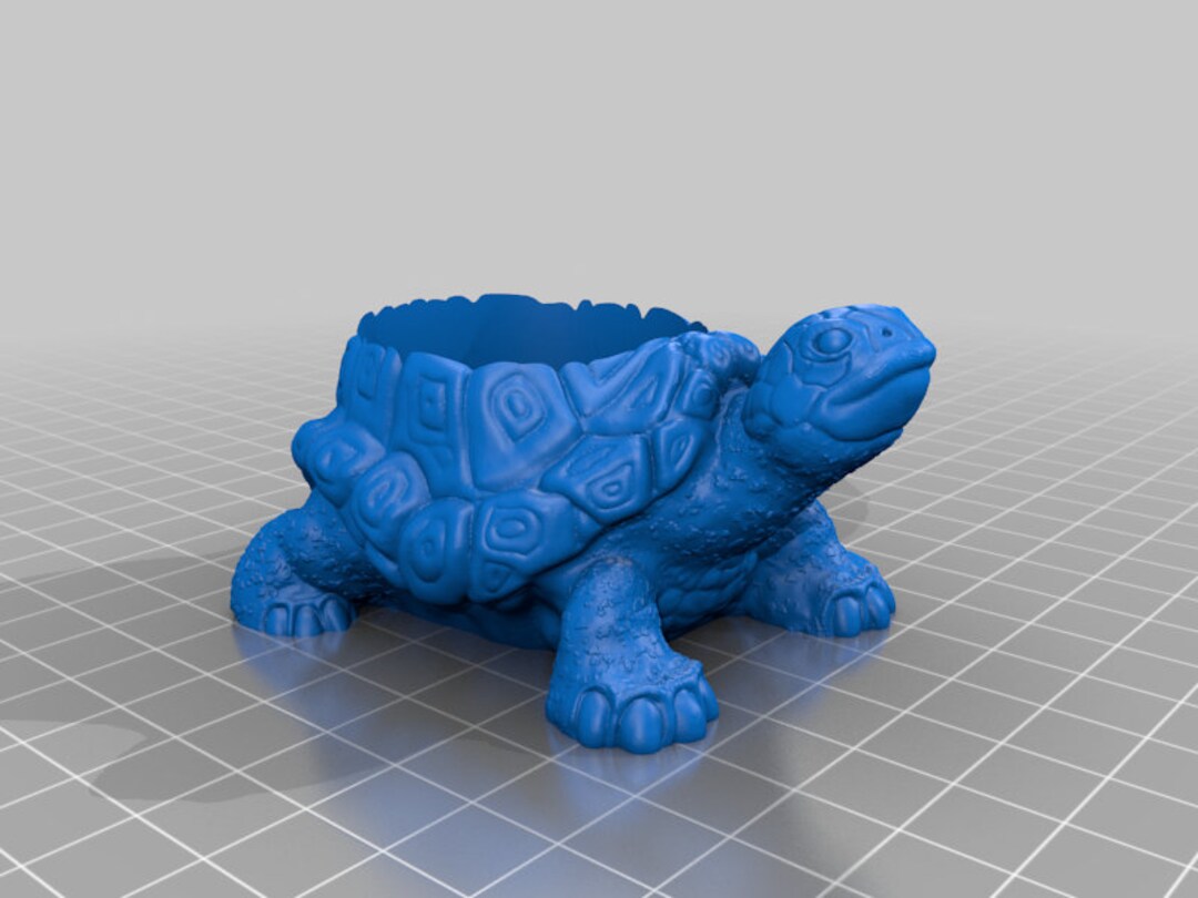 Tortoise Pot - Etsy