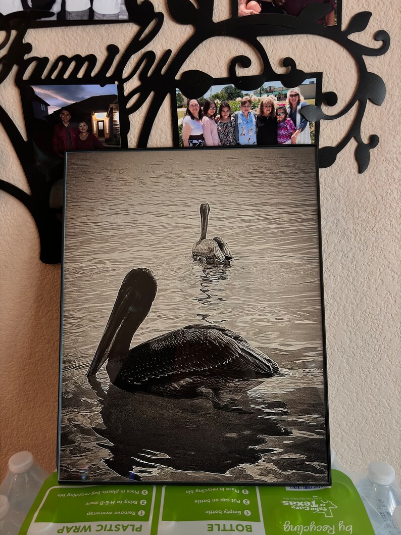 Birds Eye View Print - Etsy