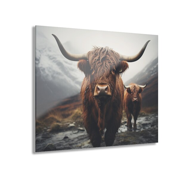 Highlander Cow Wall Art - Etsy