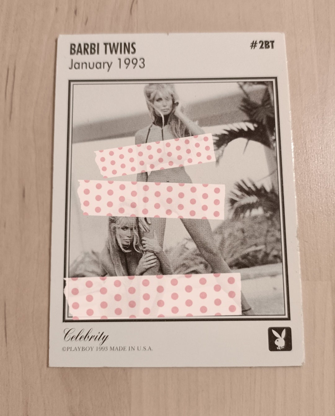 Barbi Twins Celebrity Trading Card Insert N 2BT Playboy Miss January ...