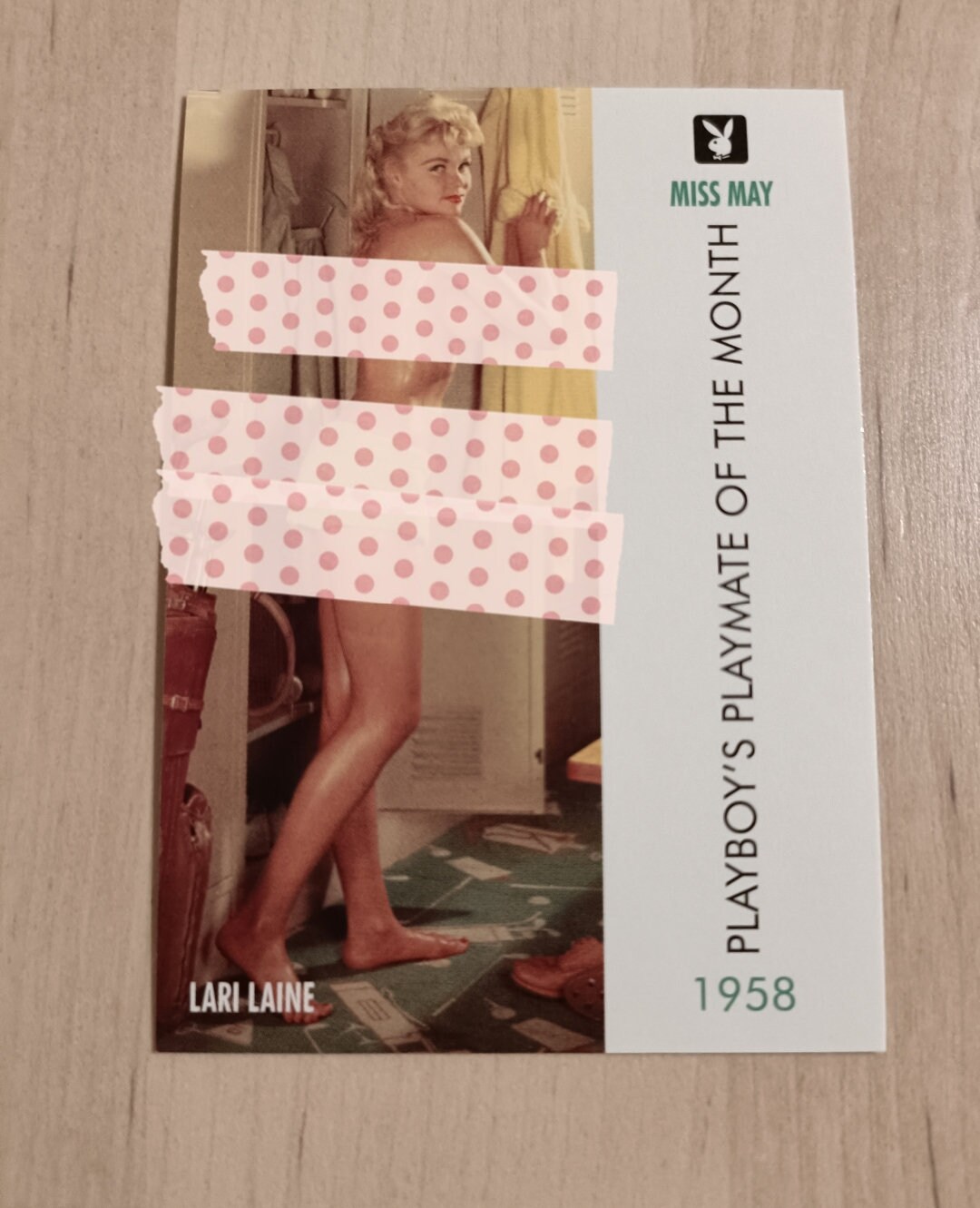 Lari Laine Collector's Card N 15 Playboy Miss May May 1958 Trading Card 1995 6.4x8.9 Cm - Etsy