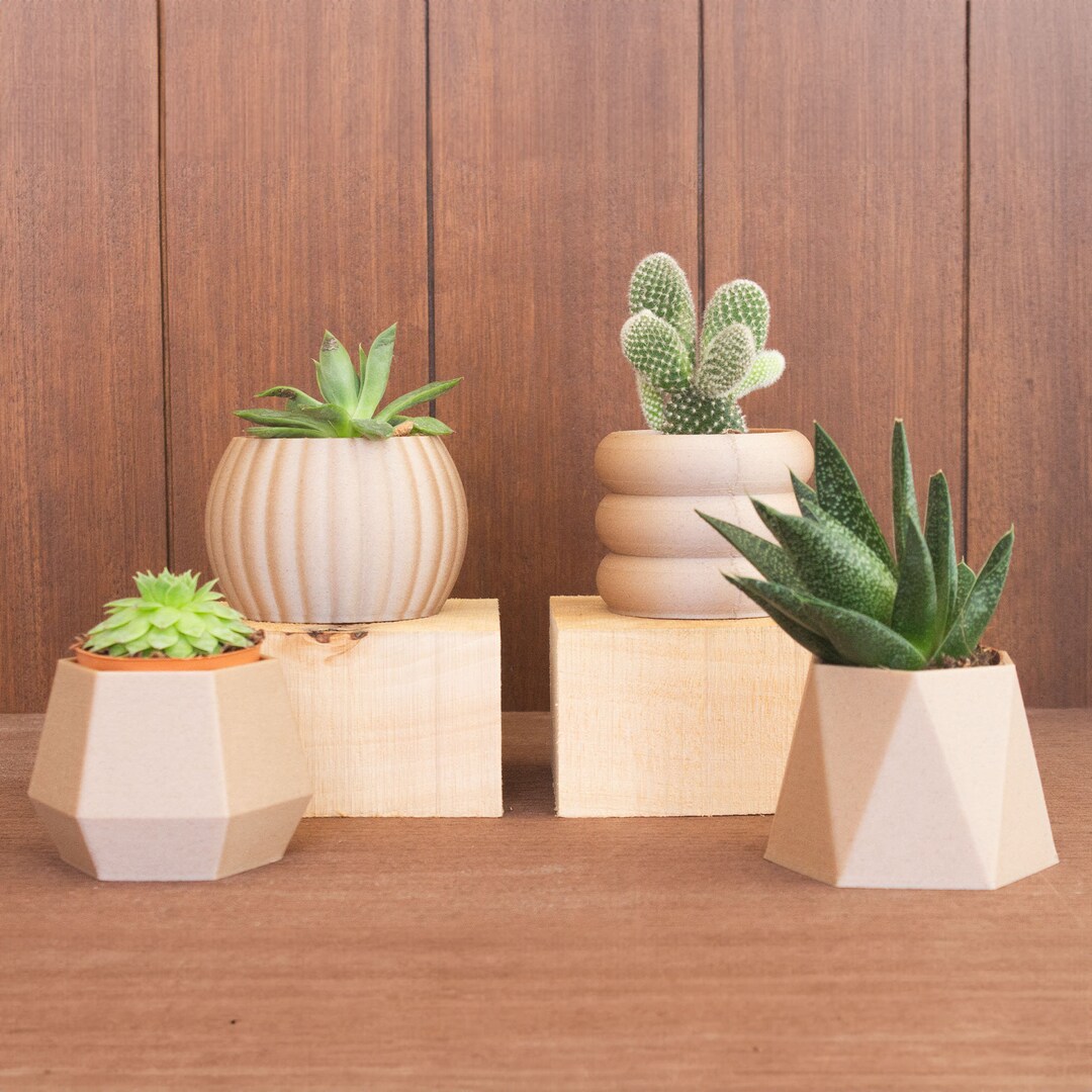 Buy Set of 4 Linden Wood Textured Indoor Planters Natural Linden Online ...