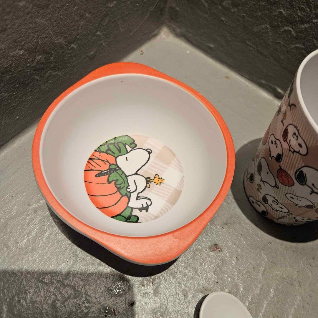 Peanuts Child Toddler Dish Set - Etsy
