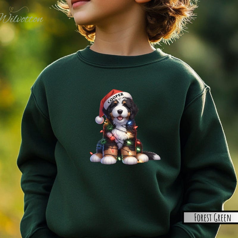 Youth Santa Sweatshirt - Etsy