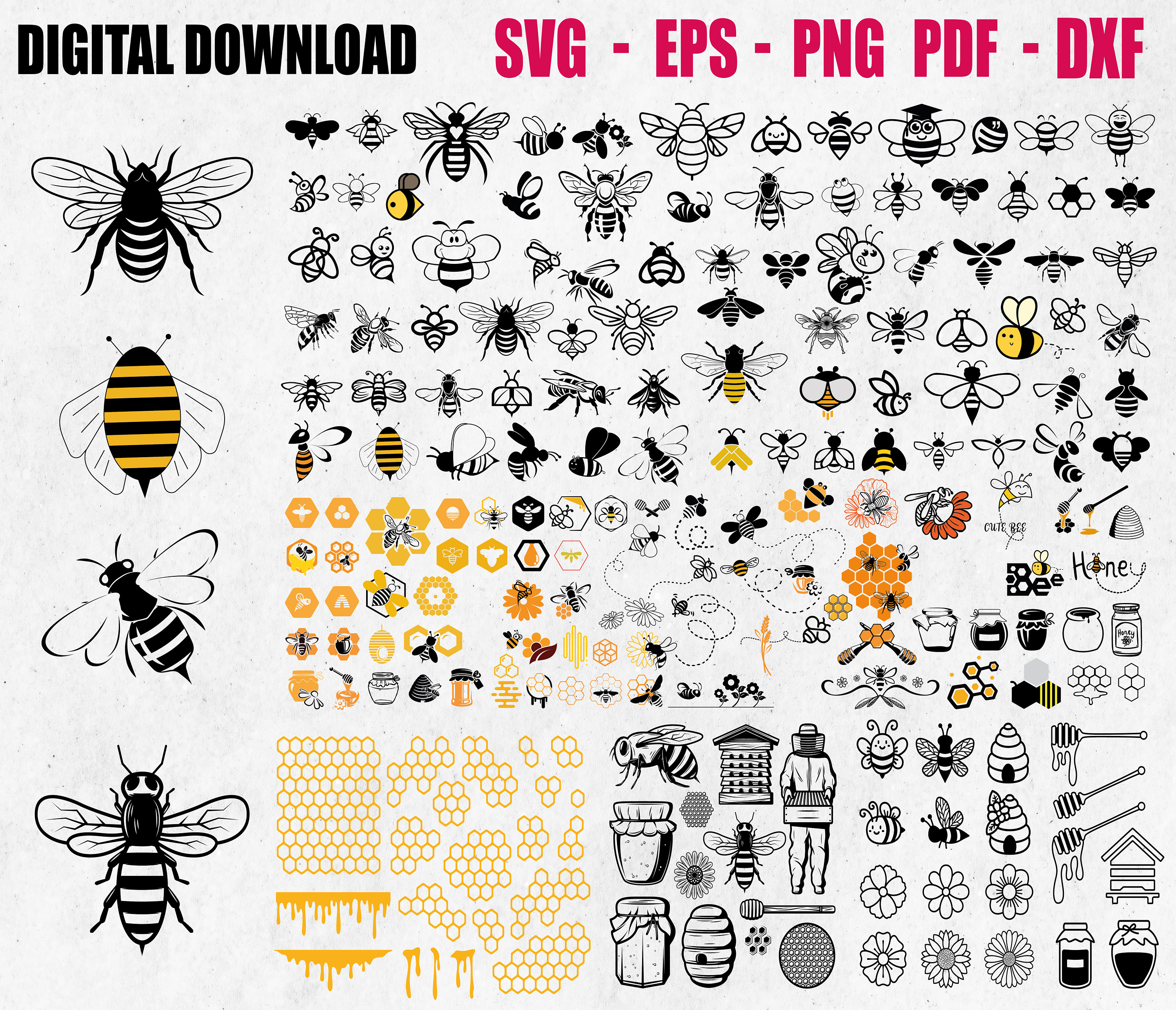 BEE SVG Bundle, Honey BEE Svg Files, Bee Svg Cut Files for Cricut, Bee ...