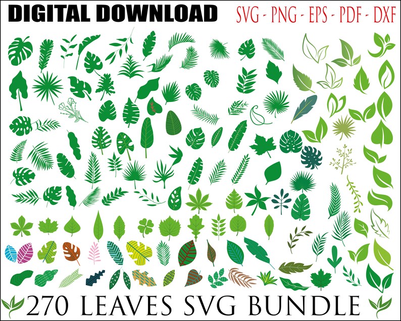 270 Leaves Svg Bundle , Leaf Svg, Paper Flower Leaves Svg, Tropical ...