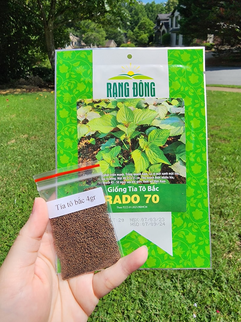 Asian Herb Shiso Seeds Vietnamese Perilla Tía Tô Miền Bắc Việt Nam - Etsy