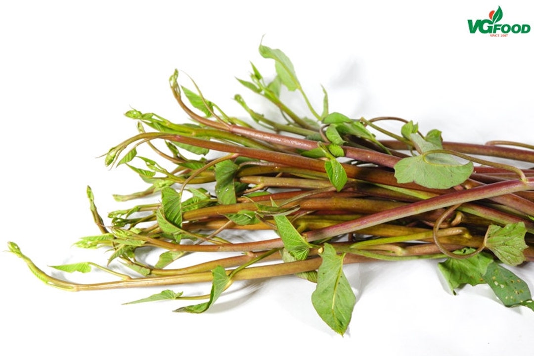 Thailand Red Kang Kong Water Spinach Seeds - Rau Muống đồng Cọng Tím - Etsy