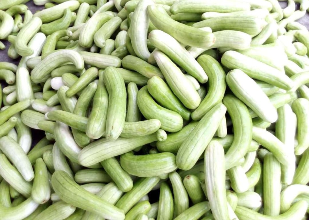 Vietnamese Green Melon Seeds: Pickling Melon - Etsy