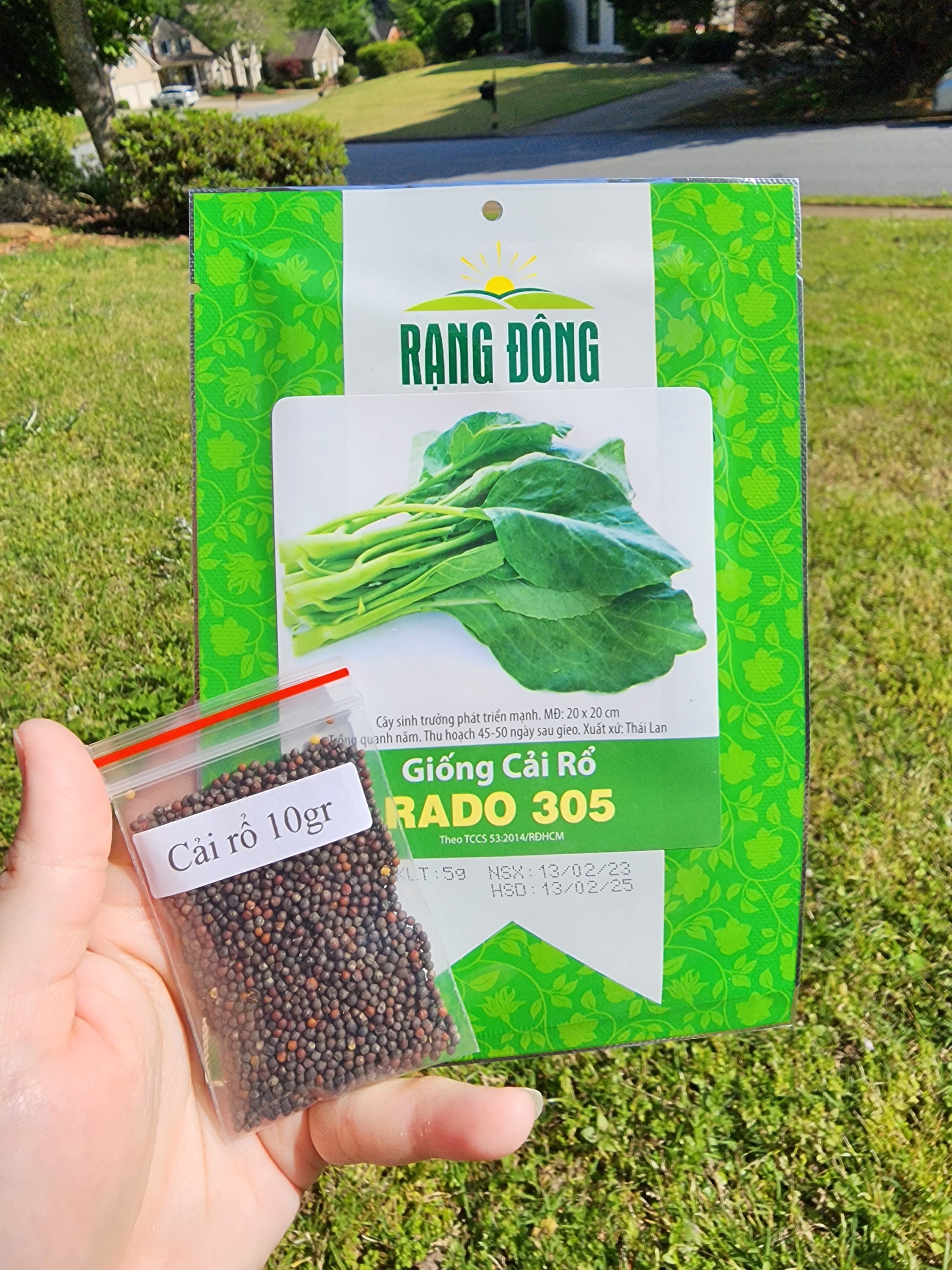 Chinese Broccoli Seeds: Kailaan Asian Vegetable - Cải Rổ - Cải Làn - Etsy