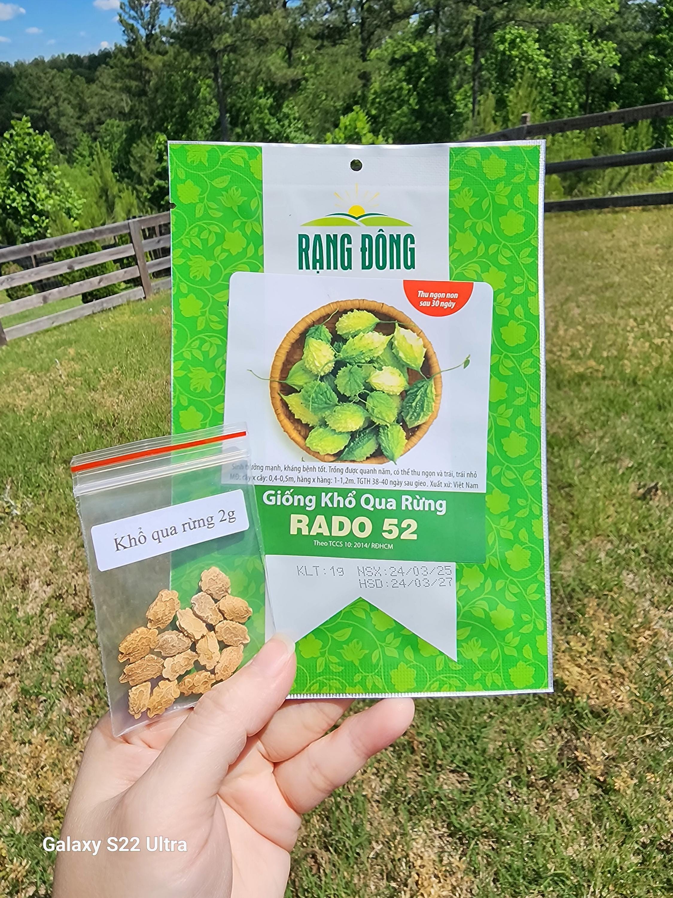 Mini Bitter Gourd Seeds - Khổ Qua Rừng - Etsy