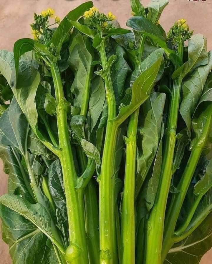 Asian Vegetable - Flowering Pak Choy (green Amber) Seeds - Cải Ngồng ăn ...