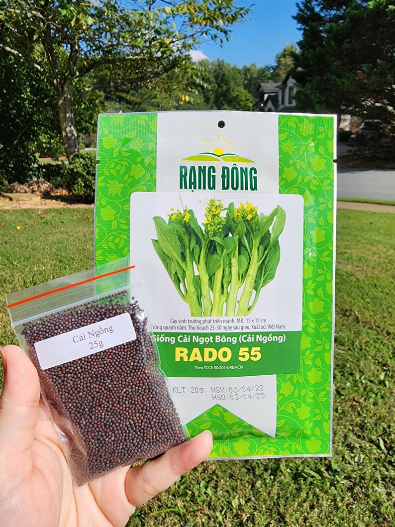 Asian Vegetable - Flowering Pak Choy (green Amber) Seeds - Cải Ngồng ăn ...