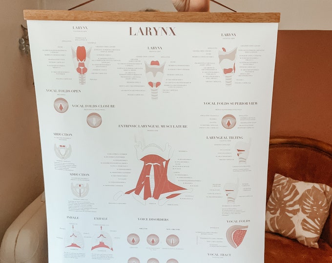 Larynx Coloring Page - Etsy Canada