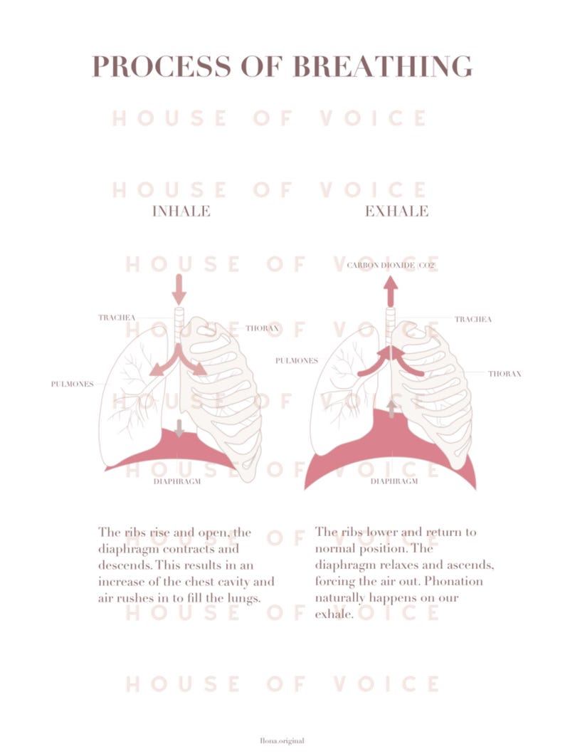 A4/ A5 Process of Breathing I for Voice Professionals I Digital ...